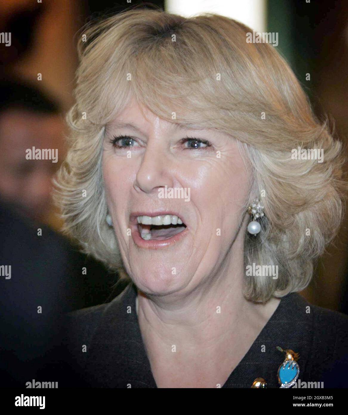 Camilla Parker Bowles mingles with guests from Australia and New ...