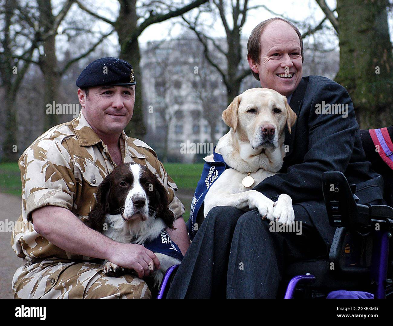 Buster, the 5-year old English Springer Spaniel that detected weapons ...