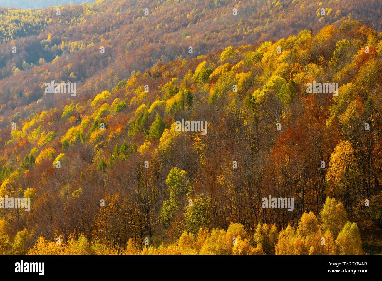 Slovensky raj hi-res stock photography and images - Alamy