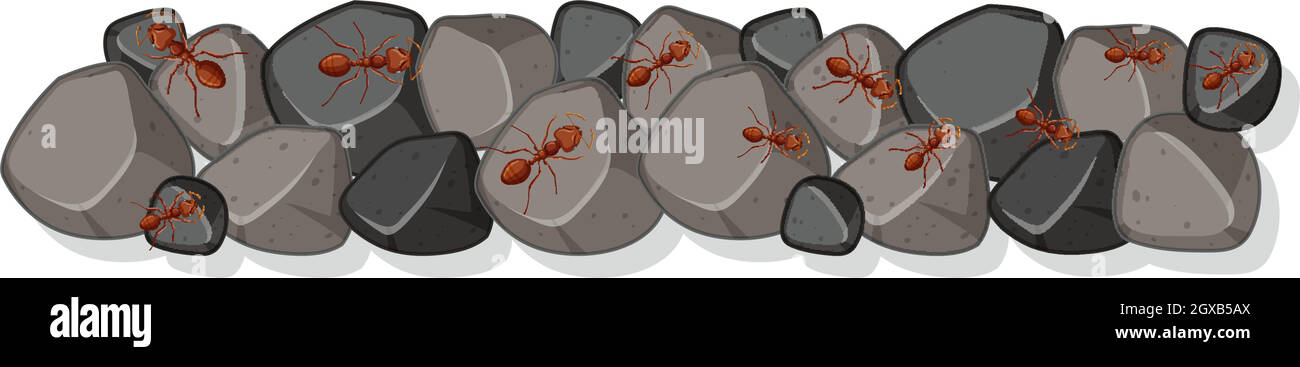 Ants on rock Stock Vector Images - Alamy