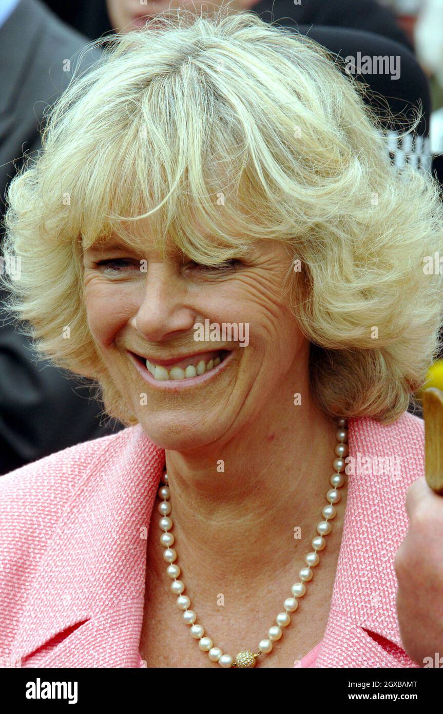 Prince Charles, patron of the Devon County Agricultural Association ...