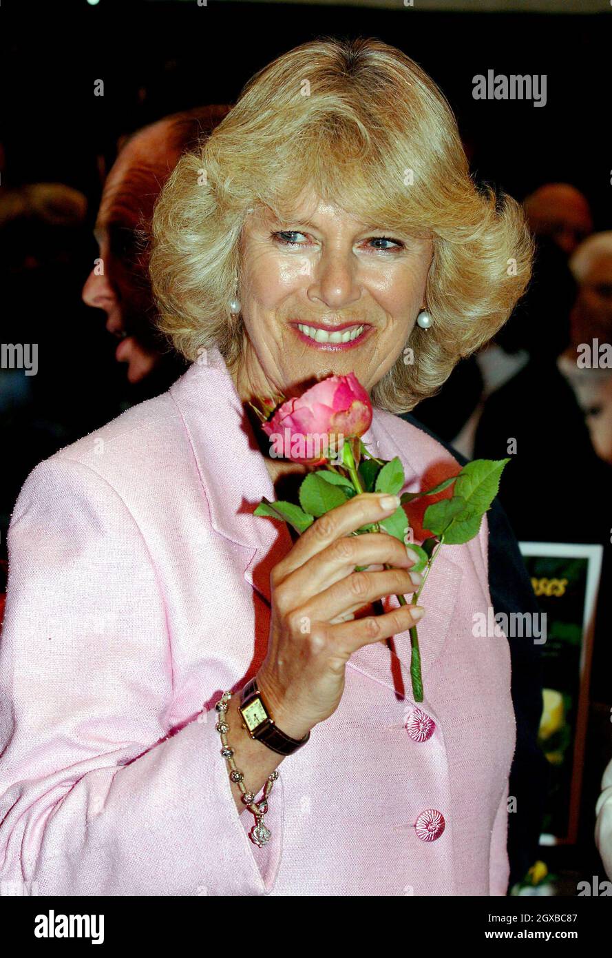 Camilla, The Duchess Of Cornwall proudly holds the new Duchess of ...