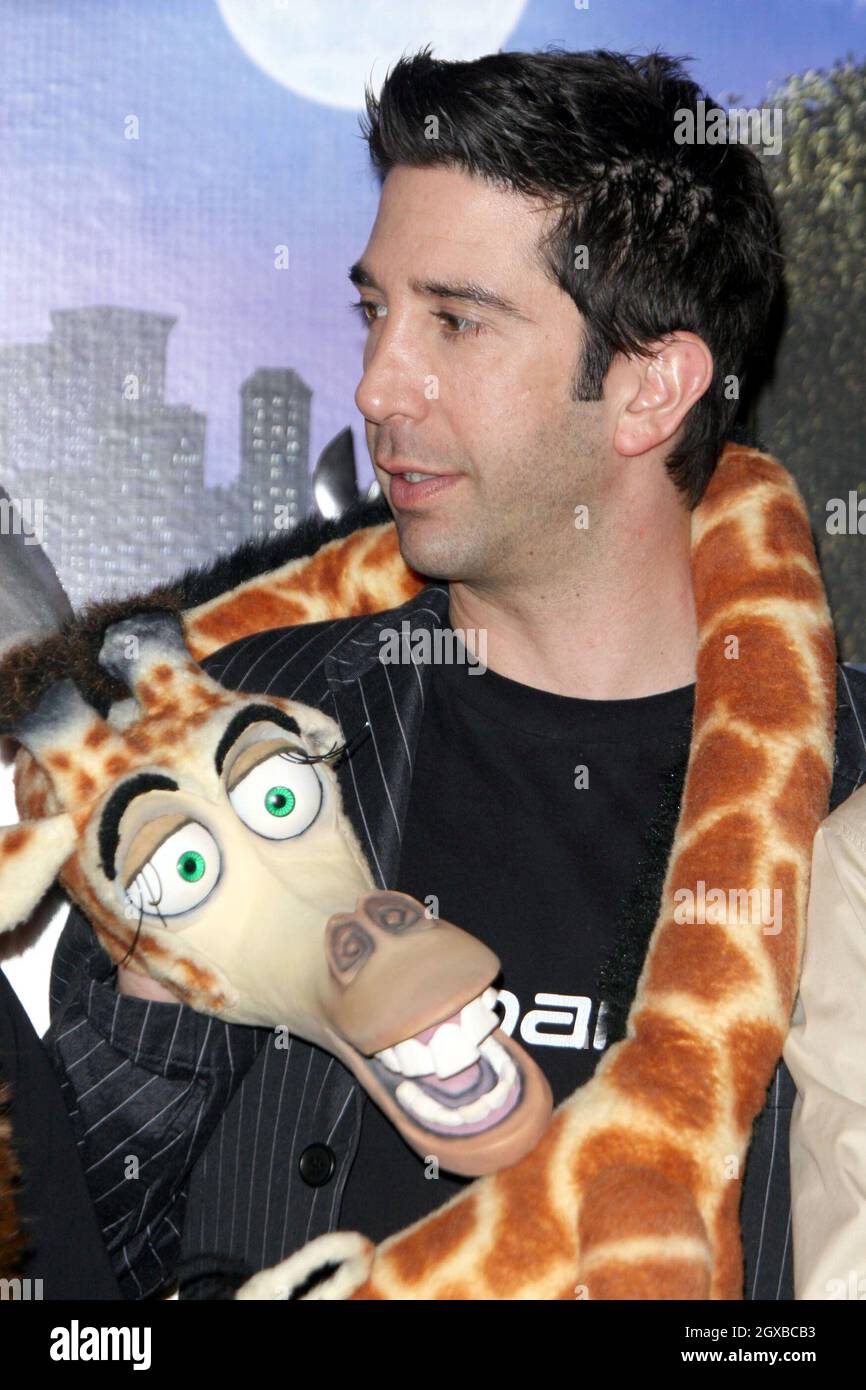 David Schwimmer at the Madagascar photocall held at the Mandarin Hotel ...