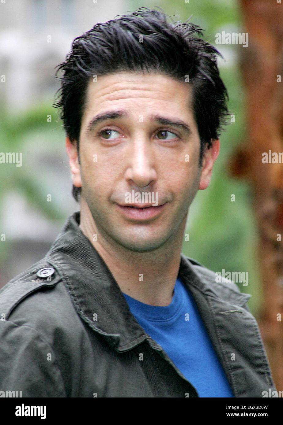 David Schwimmer at the UK charity premiere of Madagascara which took ...