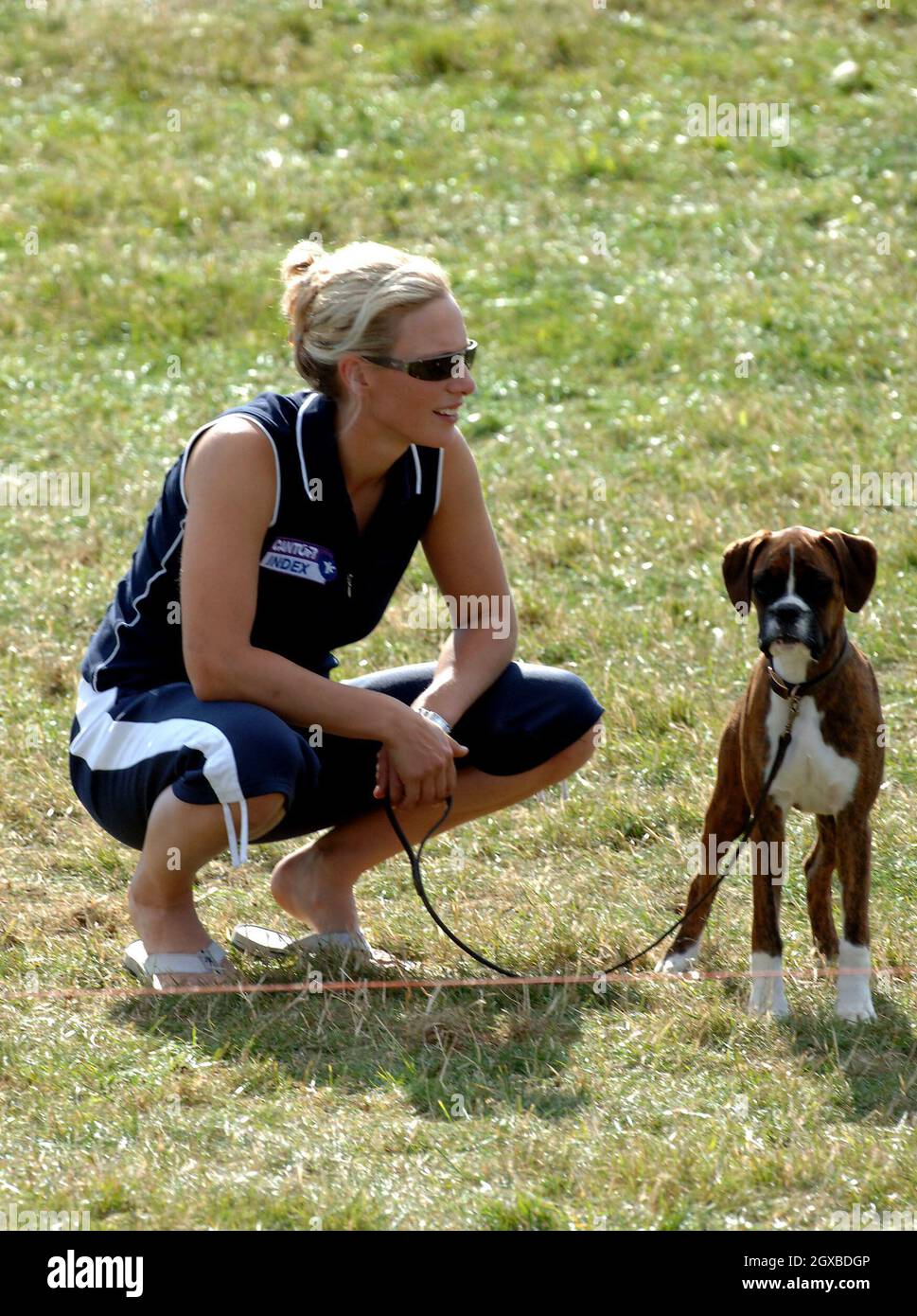 Princess anne dog hi-res stock photography and images - Alamy