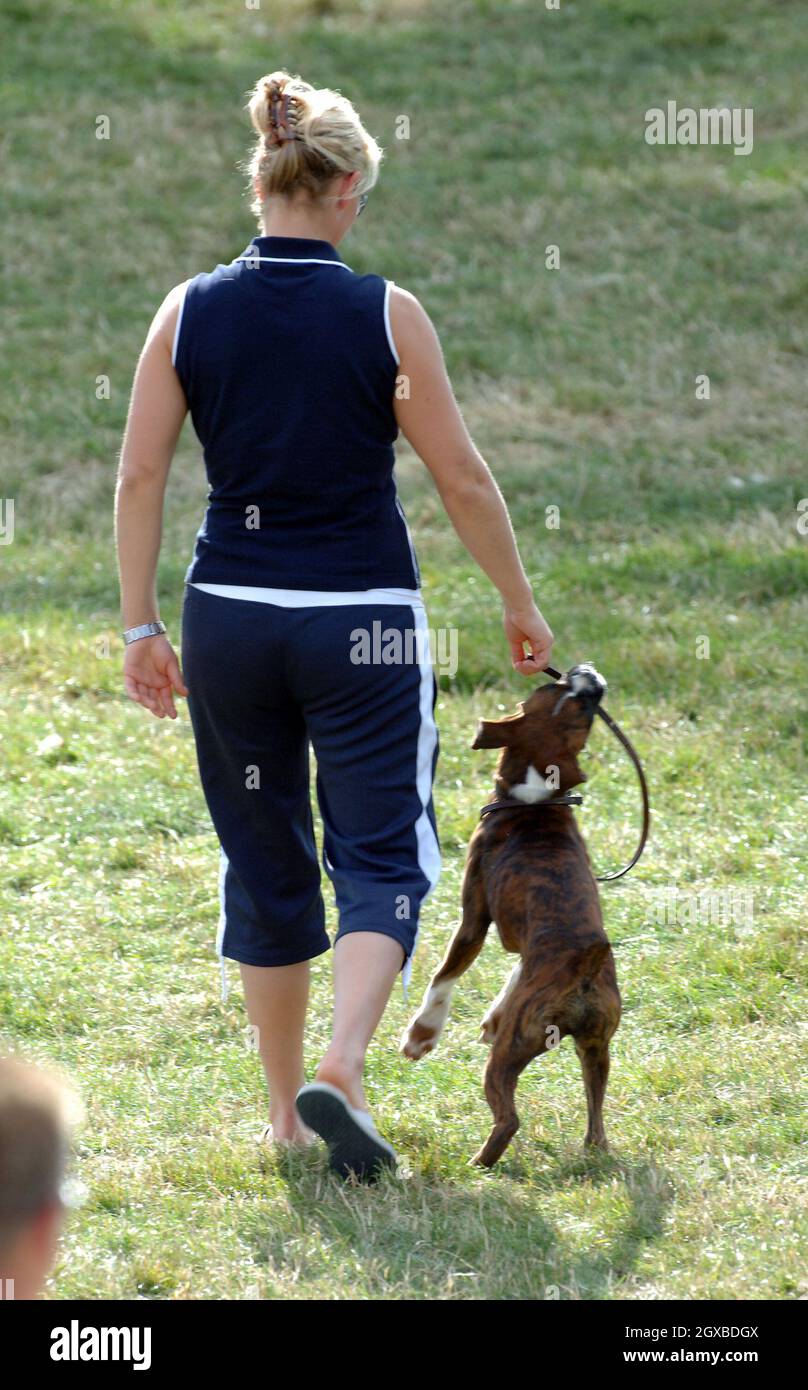 Princess anne dog hi-res stock photography and images - Alamy