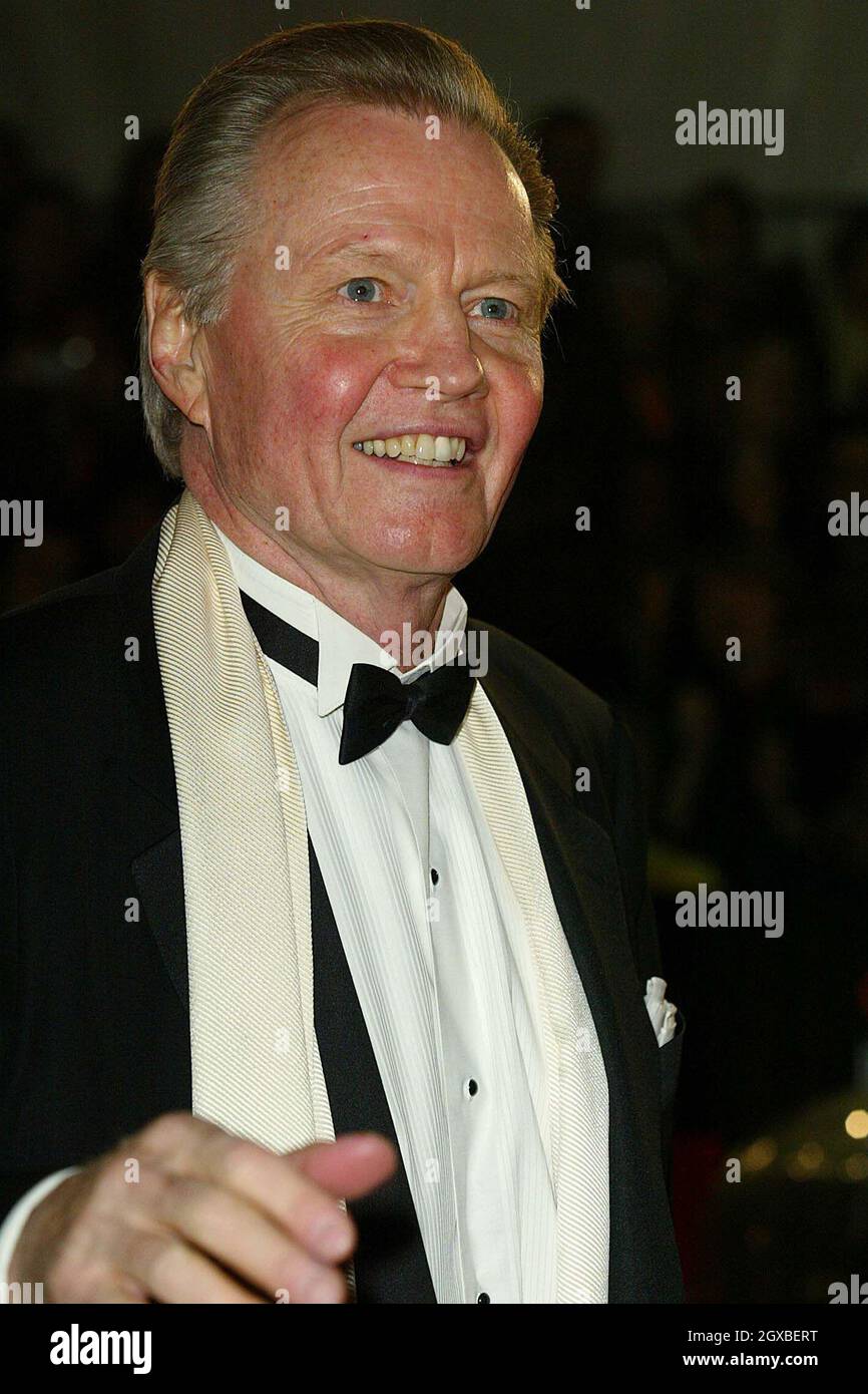 Angelina jolie voight hi-res stock photography and images - Alamy