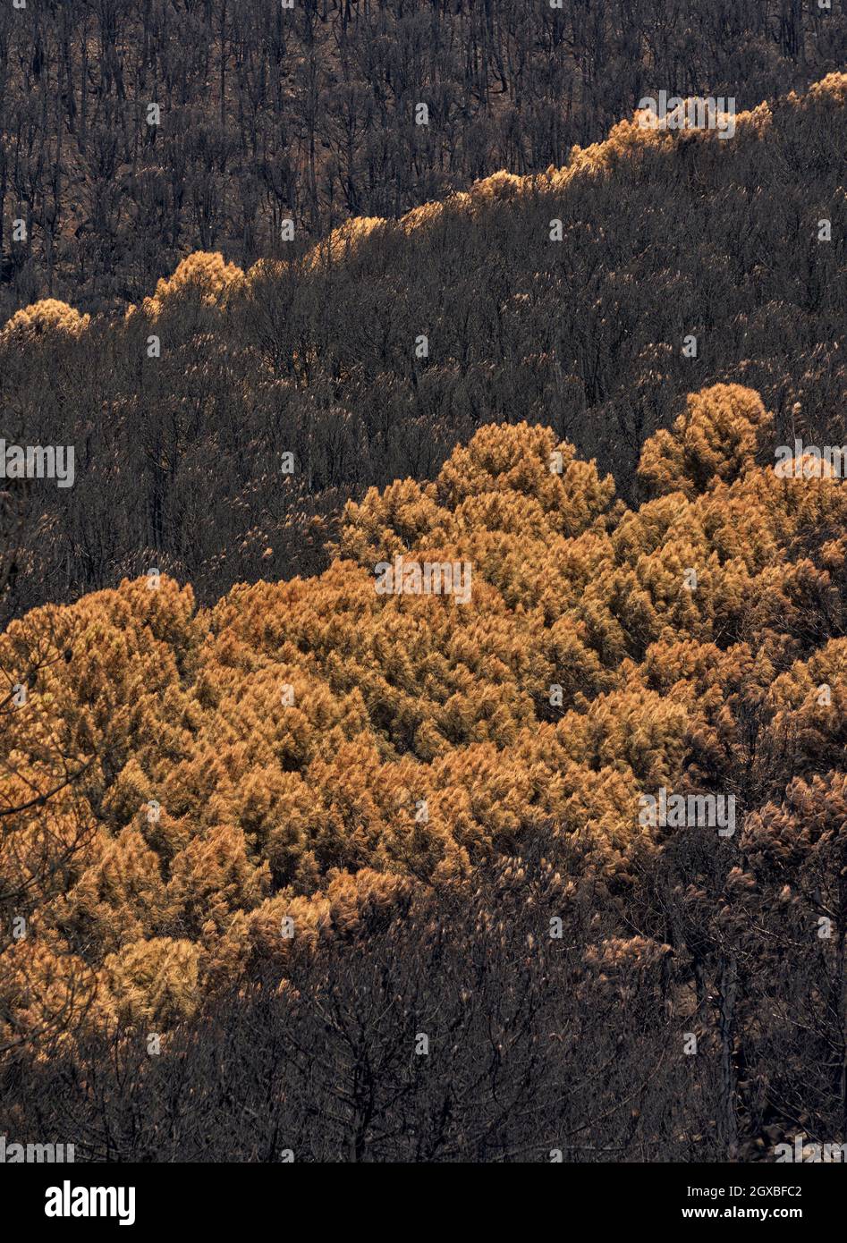 Jubrique hi-res stock photography and images - Alamy