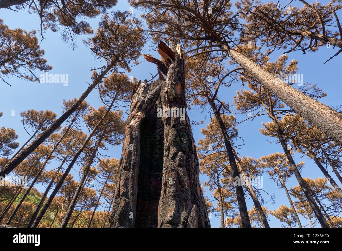 Jubrique hi-res stock photography and images - Alamy