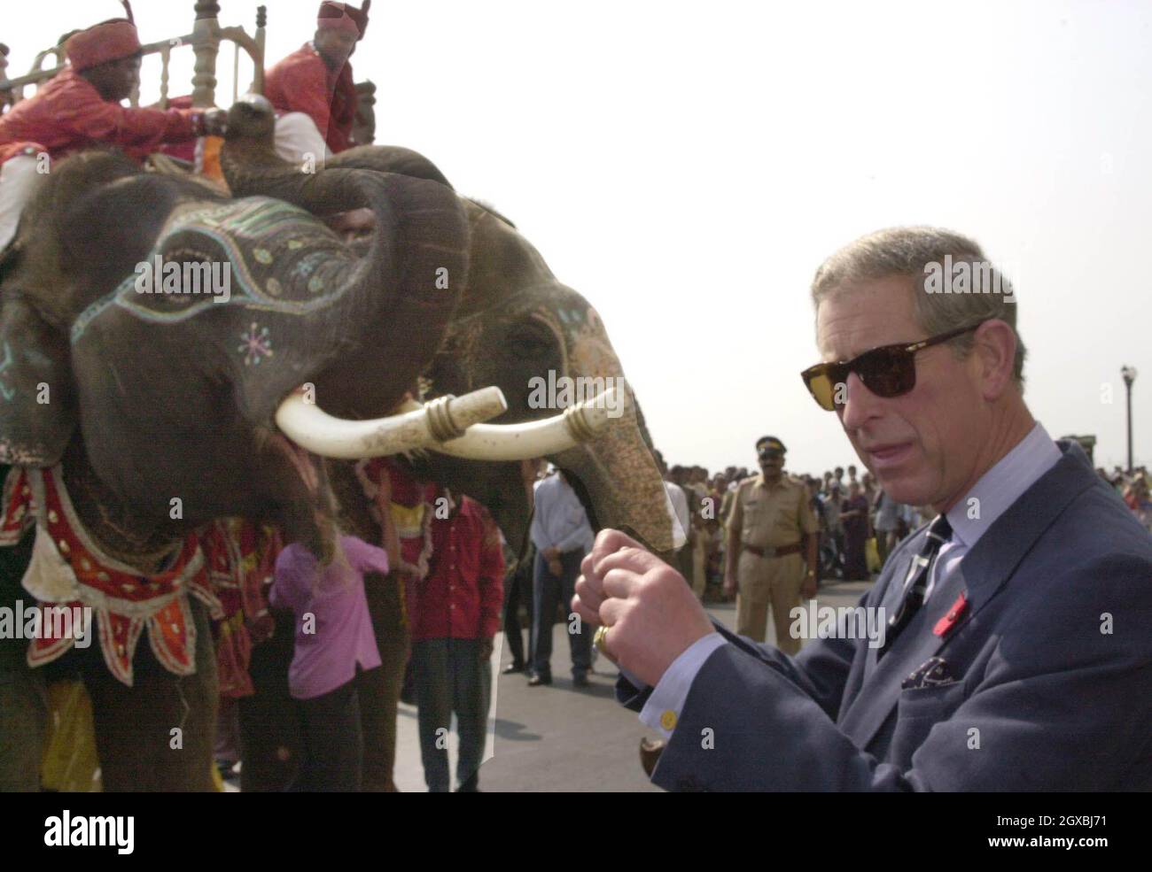 PRINCE CHARLES MEETS TWO ELEPHANTS DURING HIS STAY IN BOMBAY Stock ...