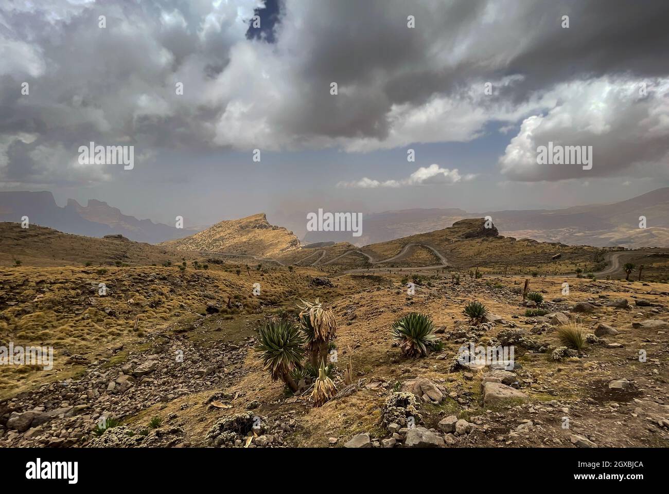 Ethiopian landscape hi-res stock photography and images - Alamy