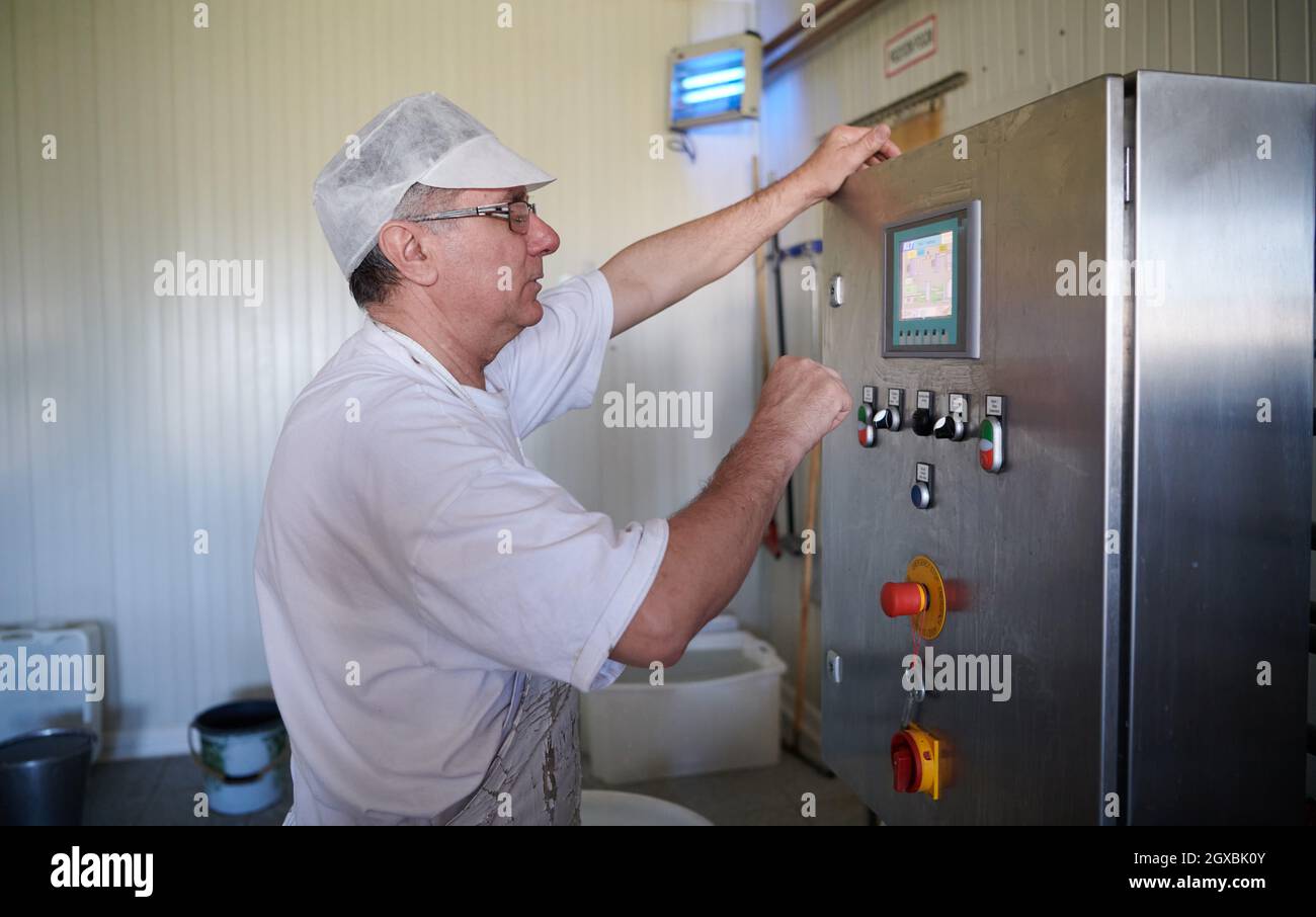 Cheese production male cheesemaker employee working in factory Stock ...