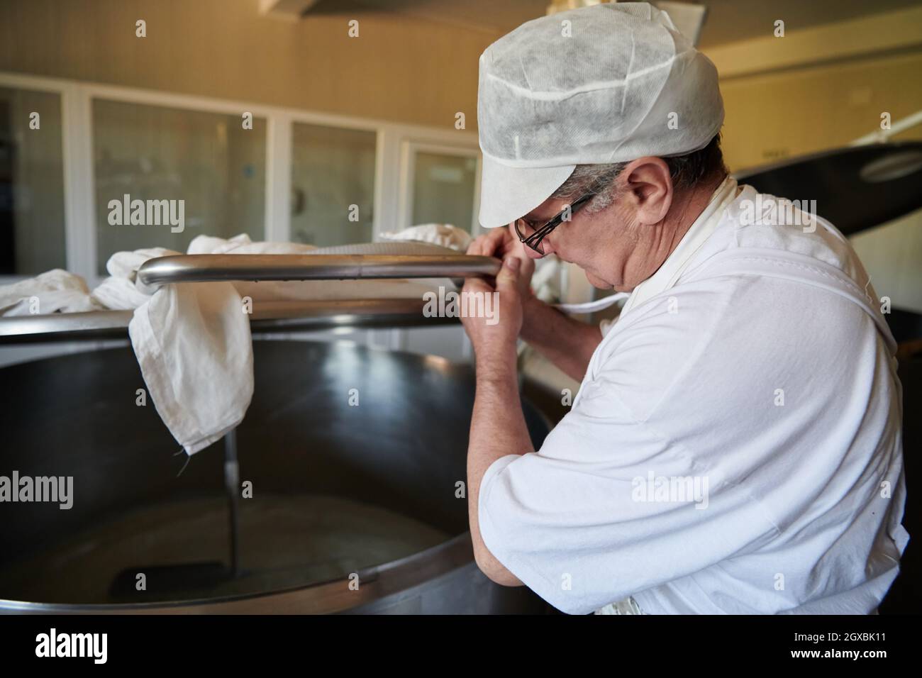 Cheese production male cheesemaker employee working in factory Stock ...