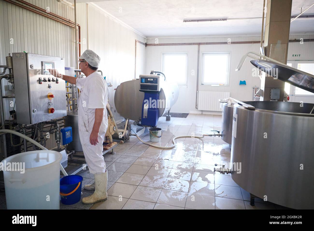 Cheese production male cheesemaker employee working in factory Stock ...