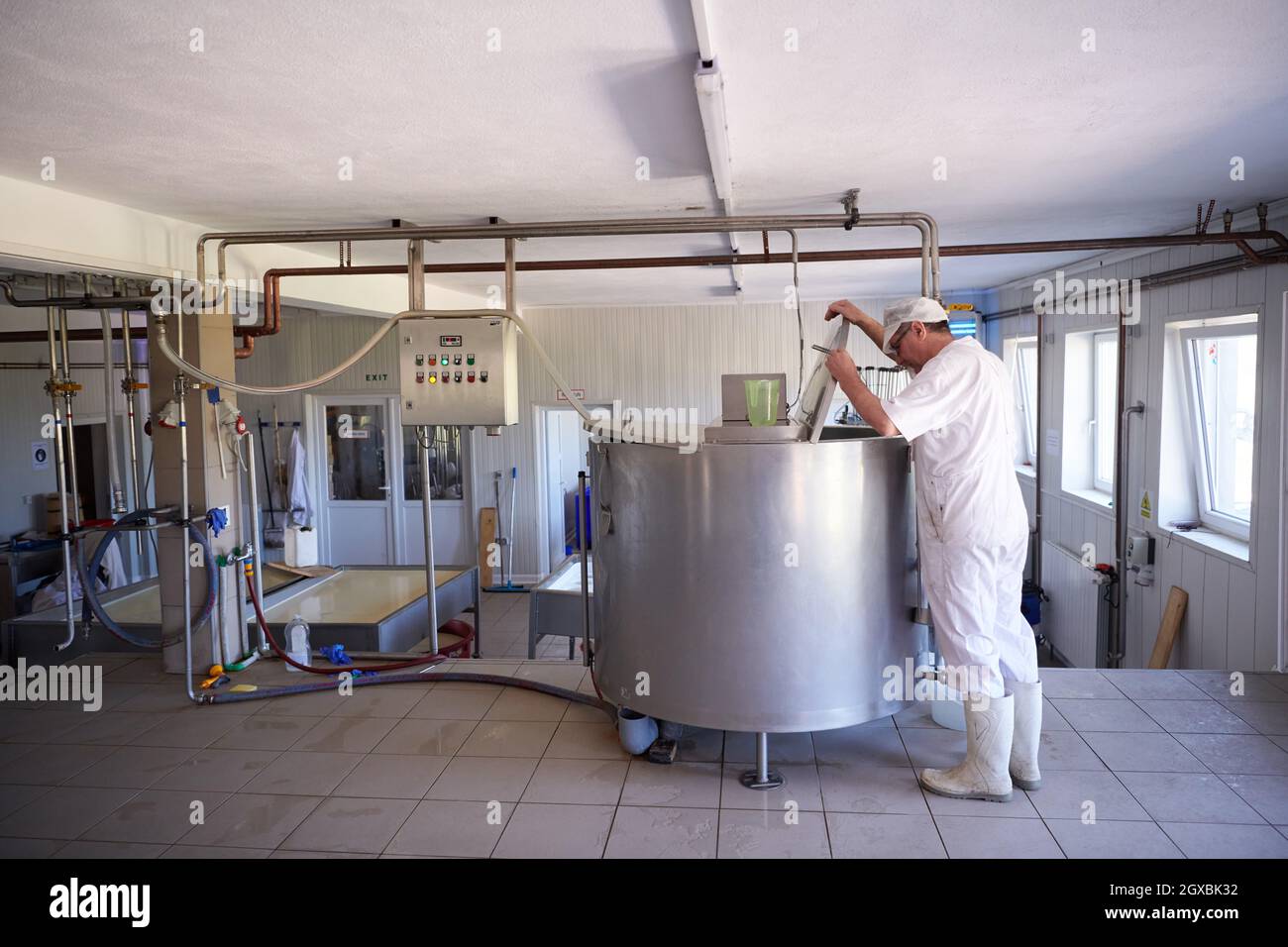 Cheese production male cheesemaker employee working in factory Stock ...