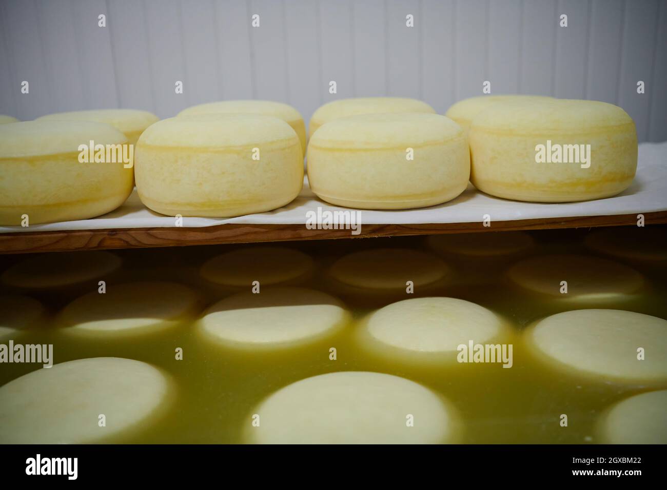 Cheese factory production shelves with aging old cheese local organic ...