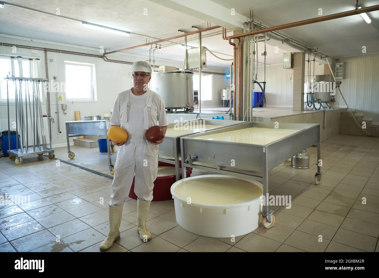 Cheese production male cheesemaker employee working in factory Stock ...