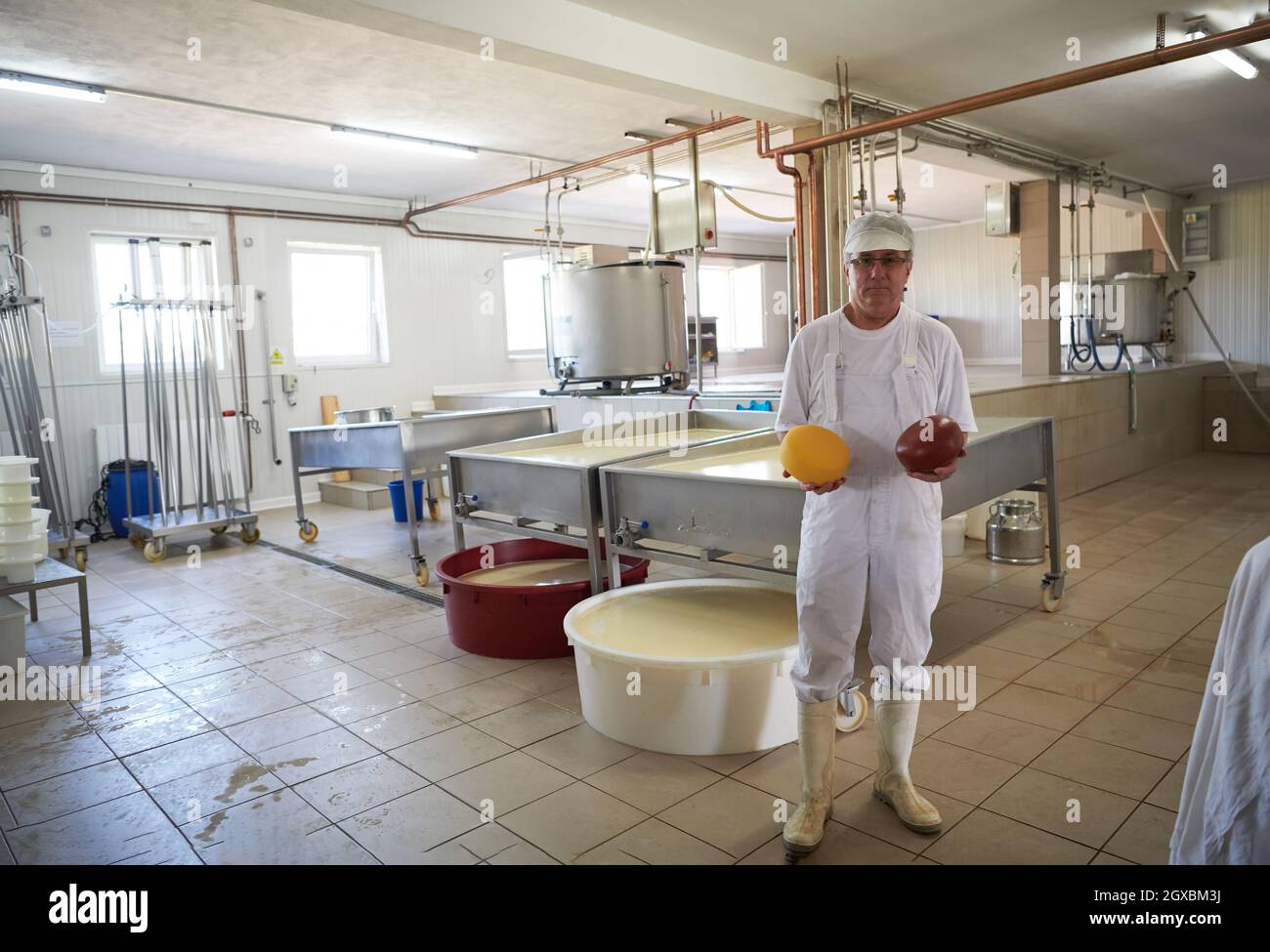 Cheese production male cheesemaker employee working in factory Stock ...