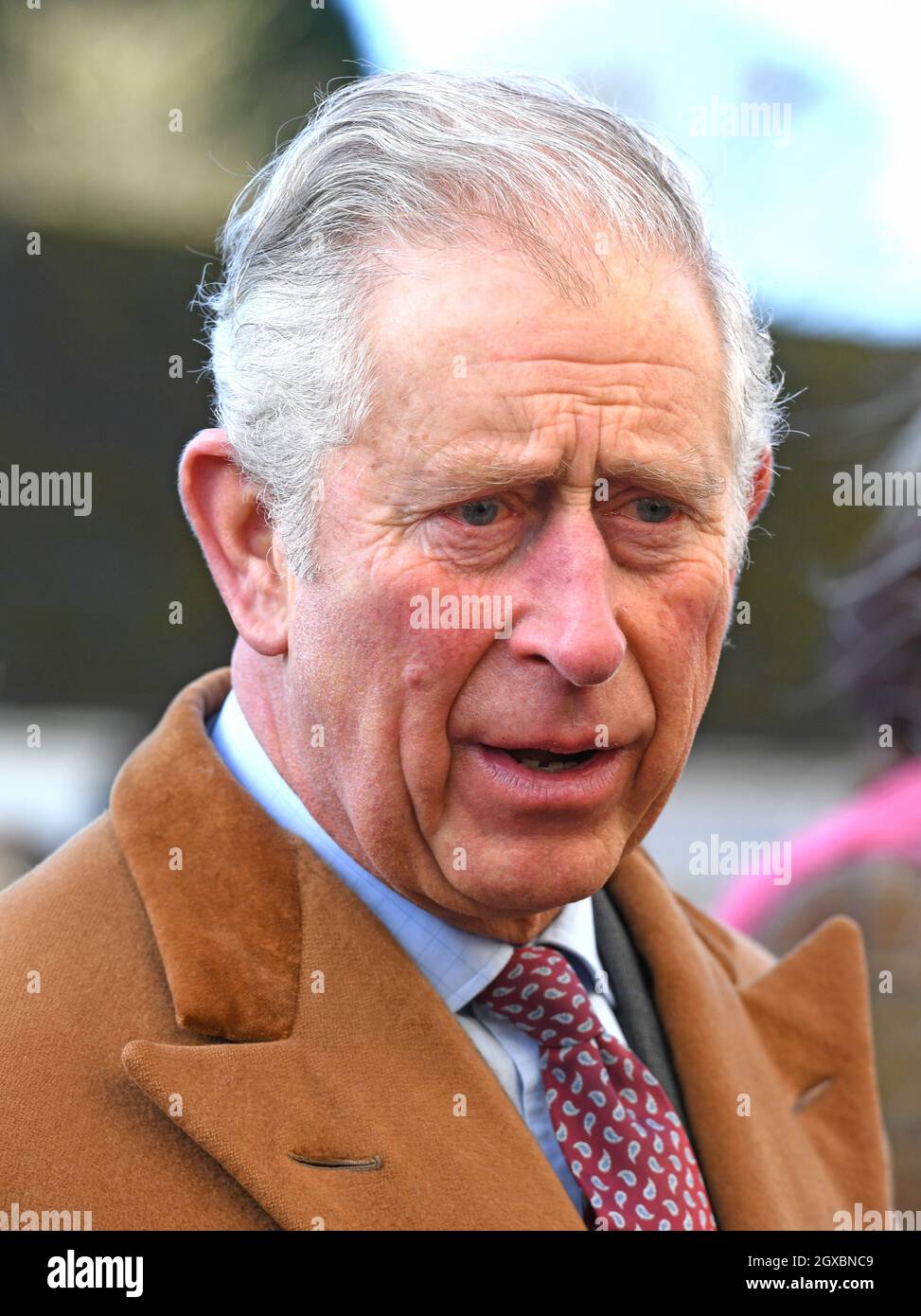Royal charles head shot headshot prince of wales royals royalty hi-res ...