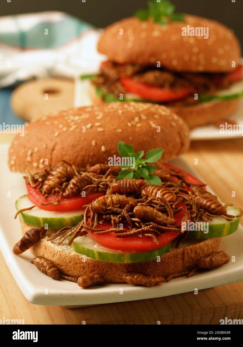 Edible Insects High Resolution Stock Photography and Images - Alamy