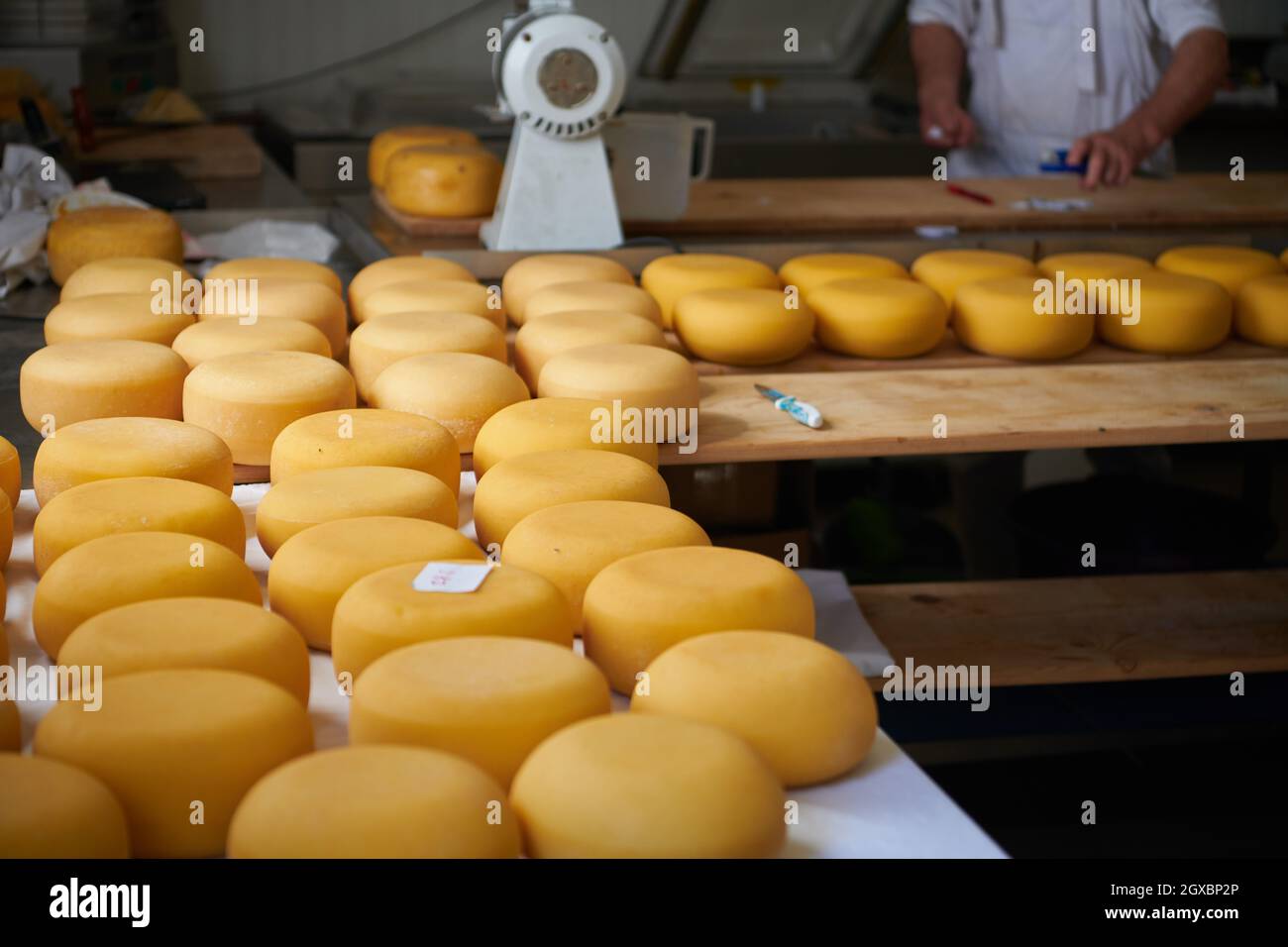 Cheese factory production shelves with aging old cheese local organic ...