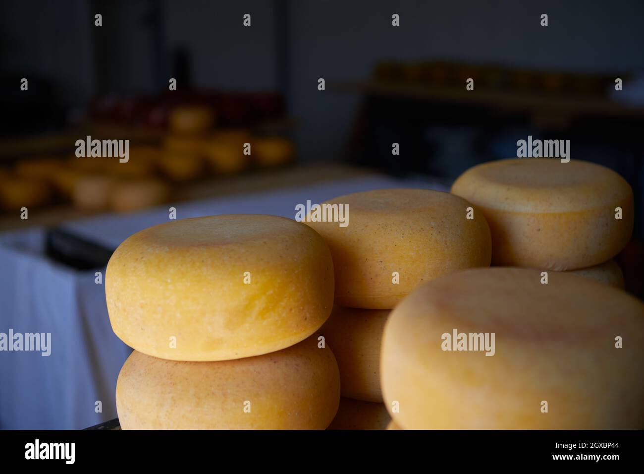 Cheese factory production shelves with aging old cheese local organic ...