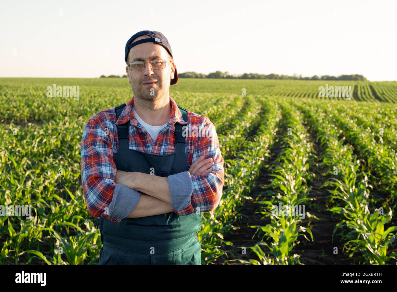 Middle Of Corn Field High Resolution Stock Photography and Images - Alamy