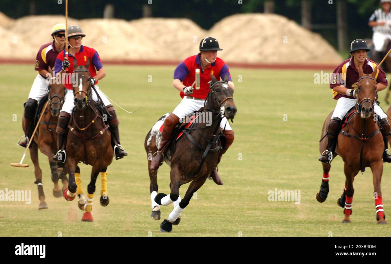 Harry polo hi-res stock photography and images - Alamy
