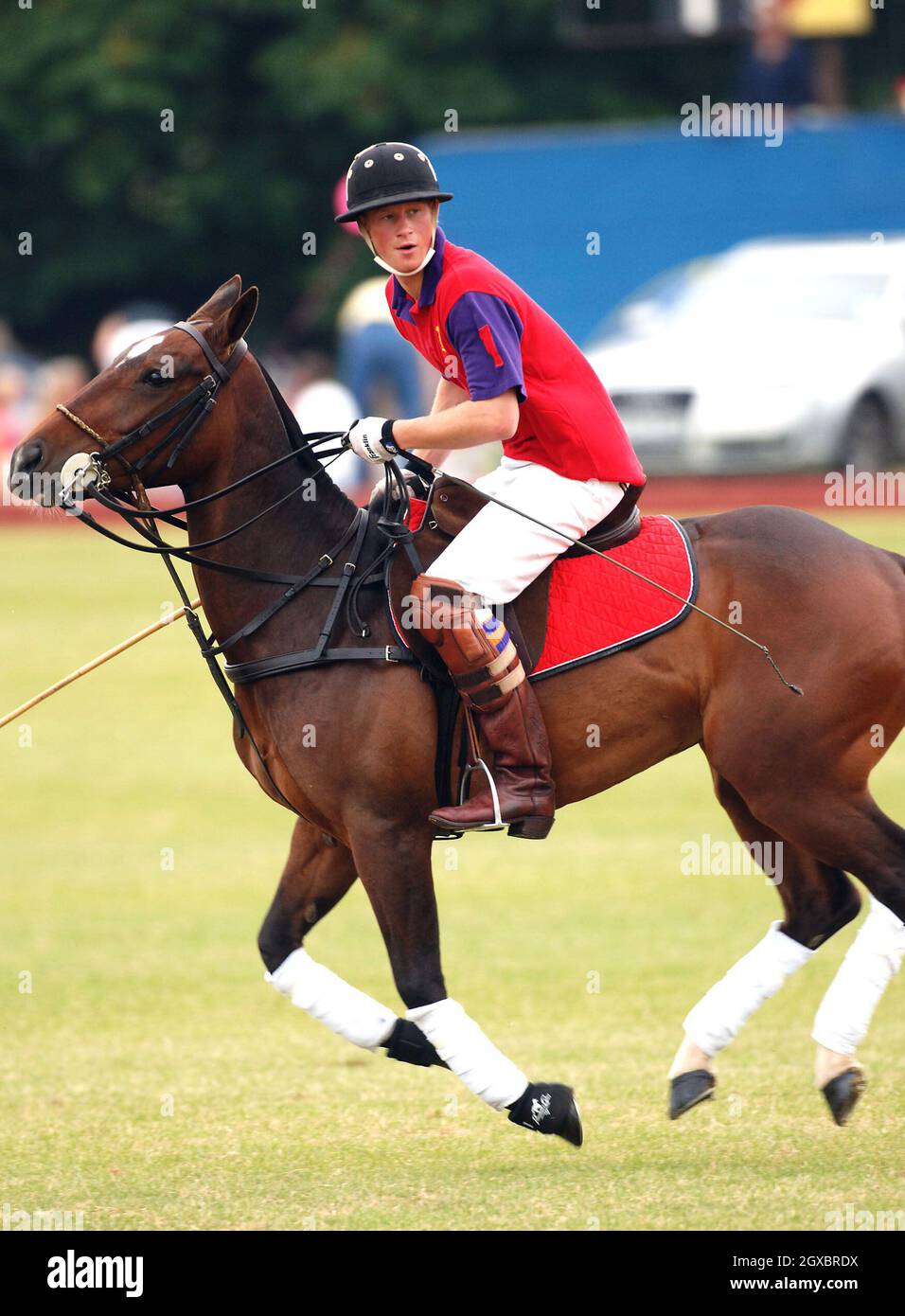 Harry polo hi-res stock photography and images - Alamy