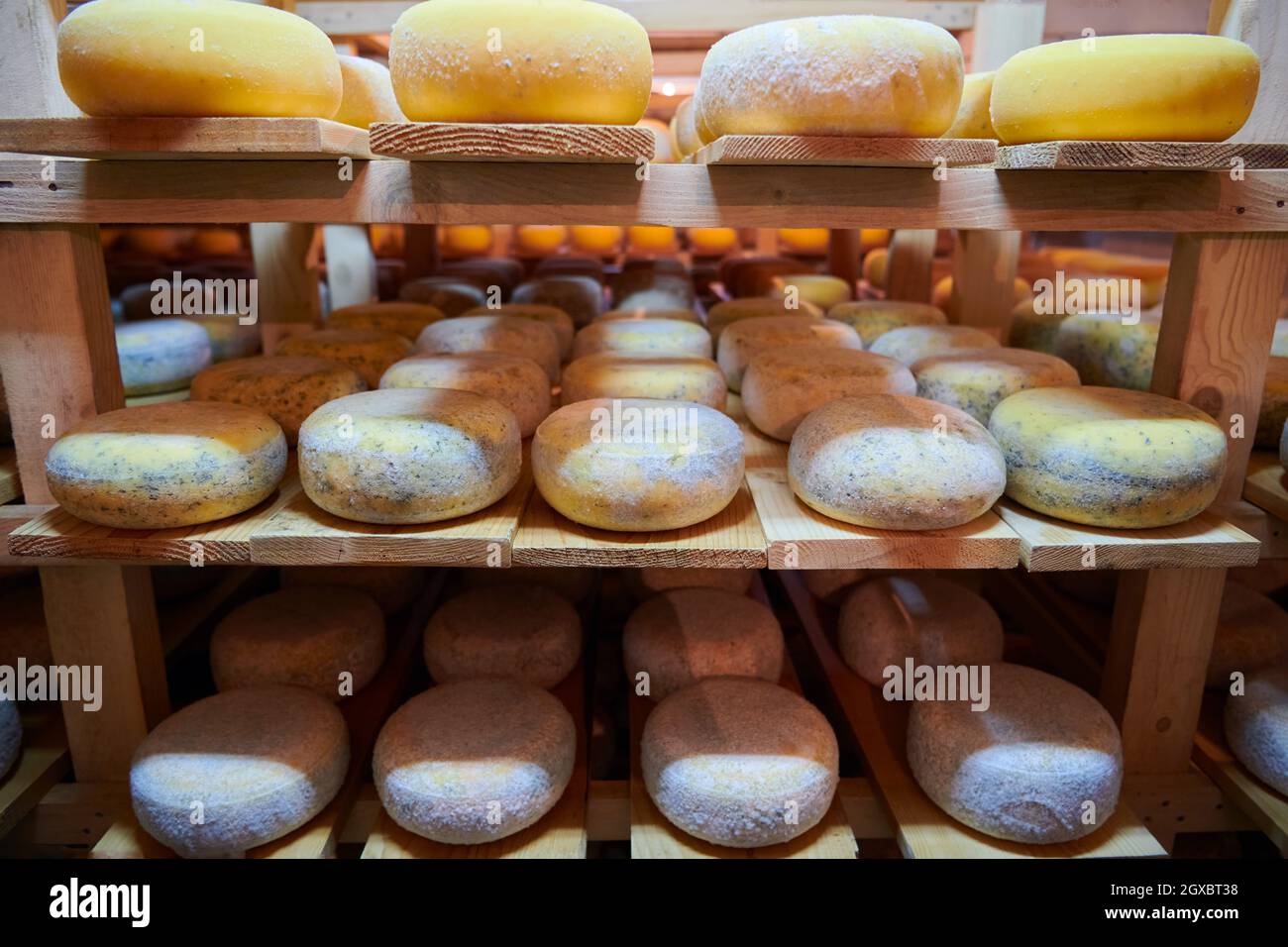 Drying cheese in cheese factory hi-res stock photography and images - Alamy