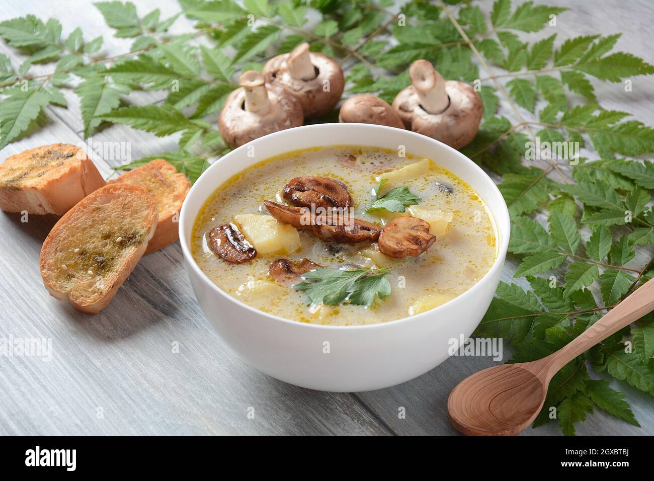 Delicious soup with mushrooms champignon and potato.Creamy Chanterelle ...