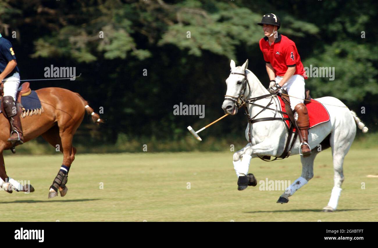 Prince William playing in a charity polo match Stock Photo - Alamy