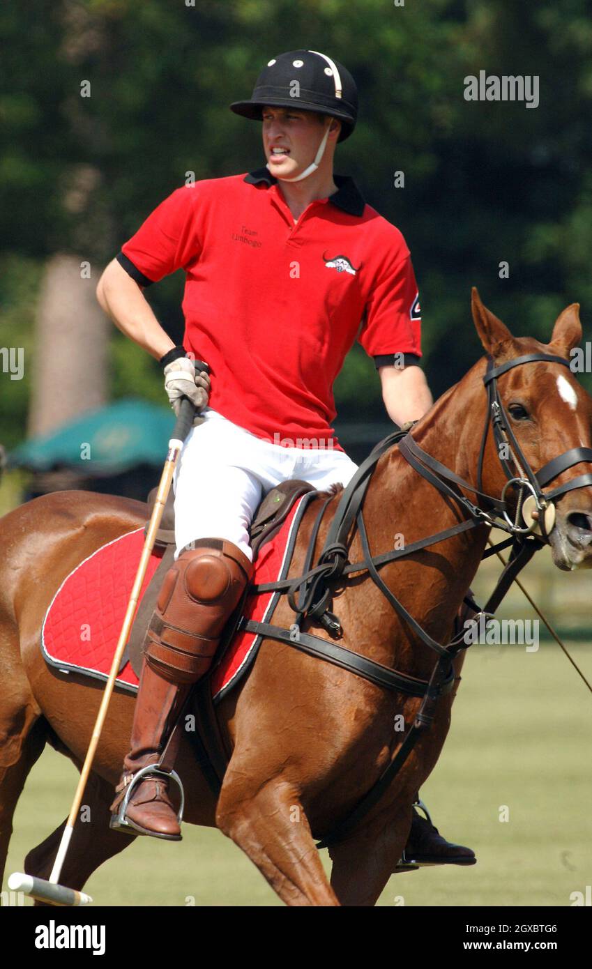 Prince William playing in a charity polo match Stock Photo - Alamy