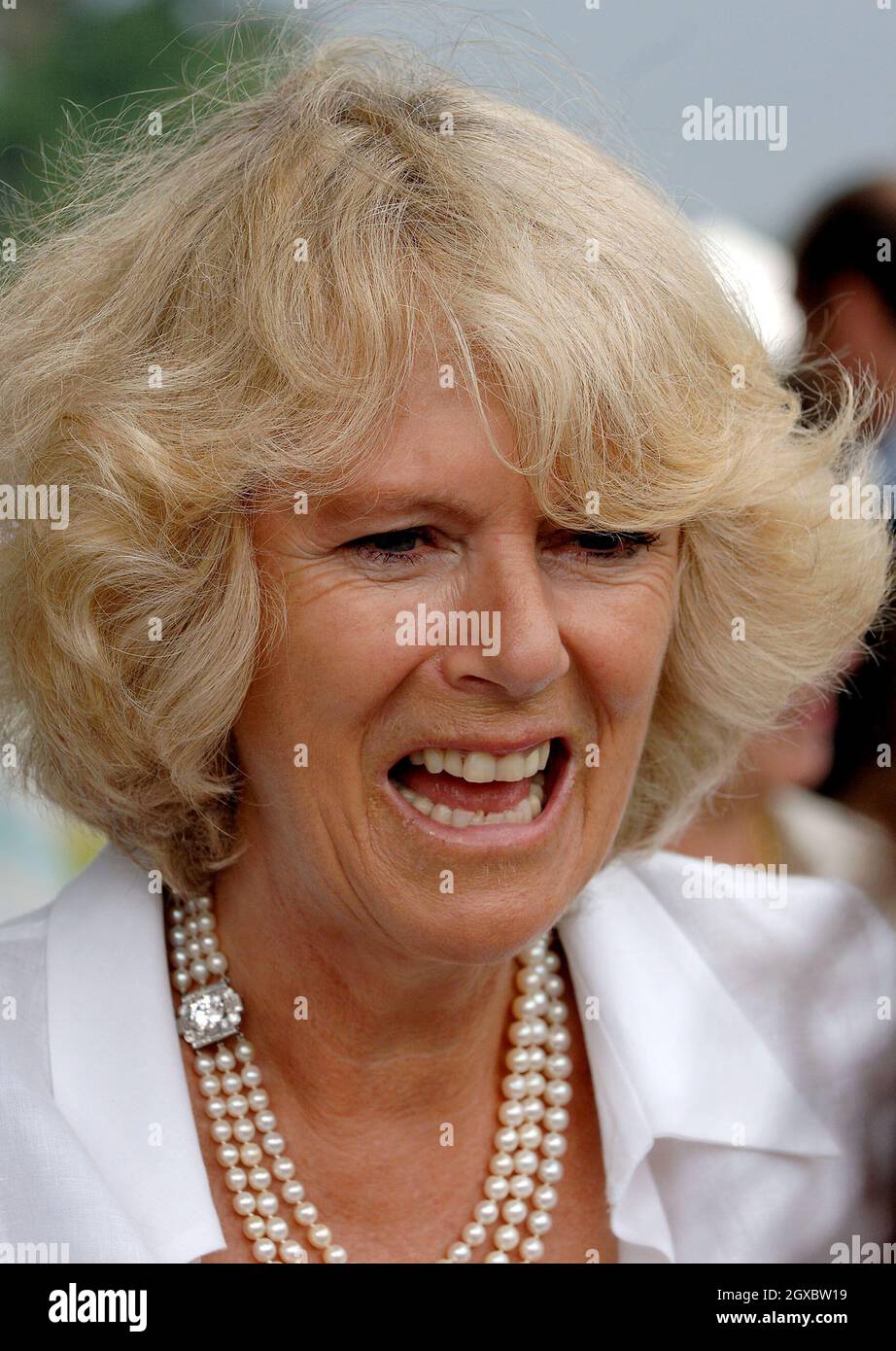 Camilla, Duchess of Cornwall Stock Photo - Alamy
