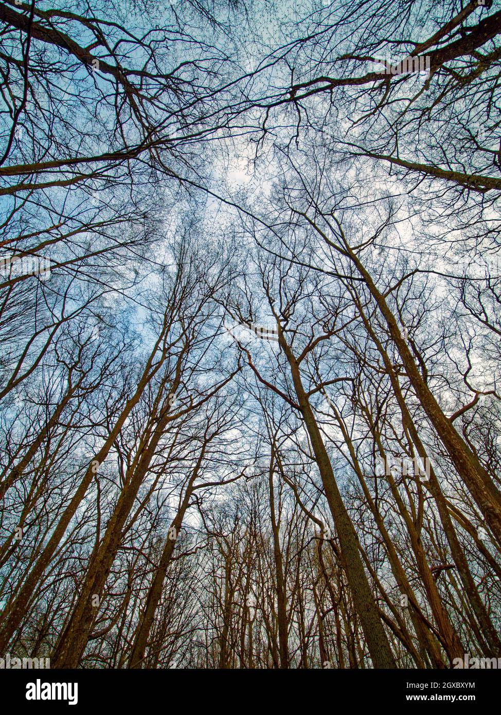 Waiting spring hi-res stock photography and images - Alamy