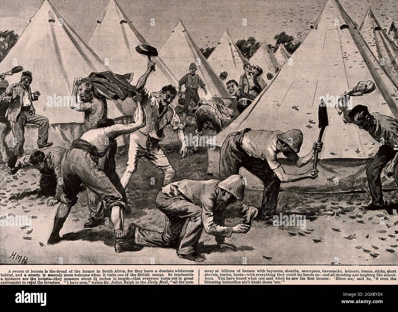 Locust camp hi-res stock photography and images - Alamy