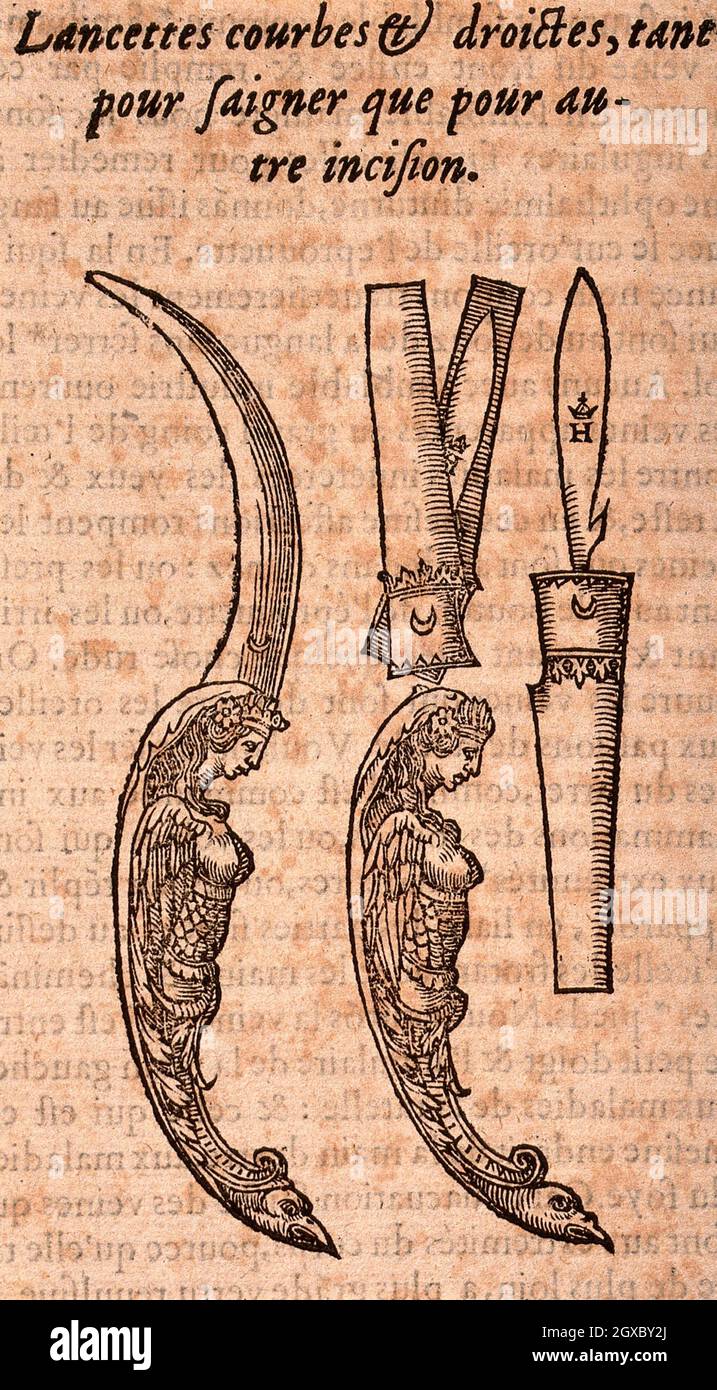 Two lancet hi-res stock photography and images - Alamy
