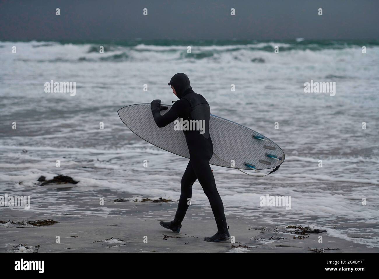 Authentic local Arctic surfer going by beach after surfing in Northern ...