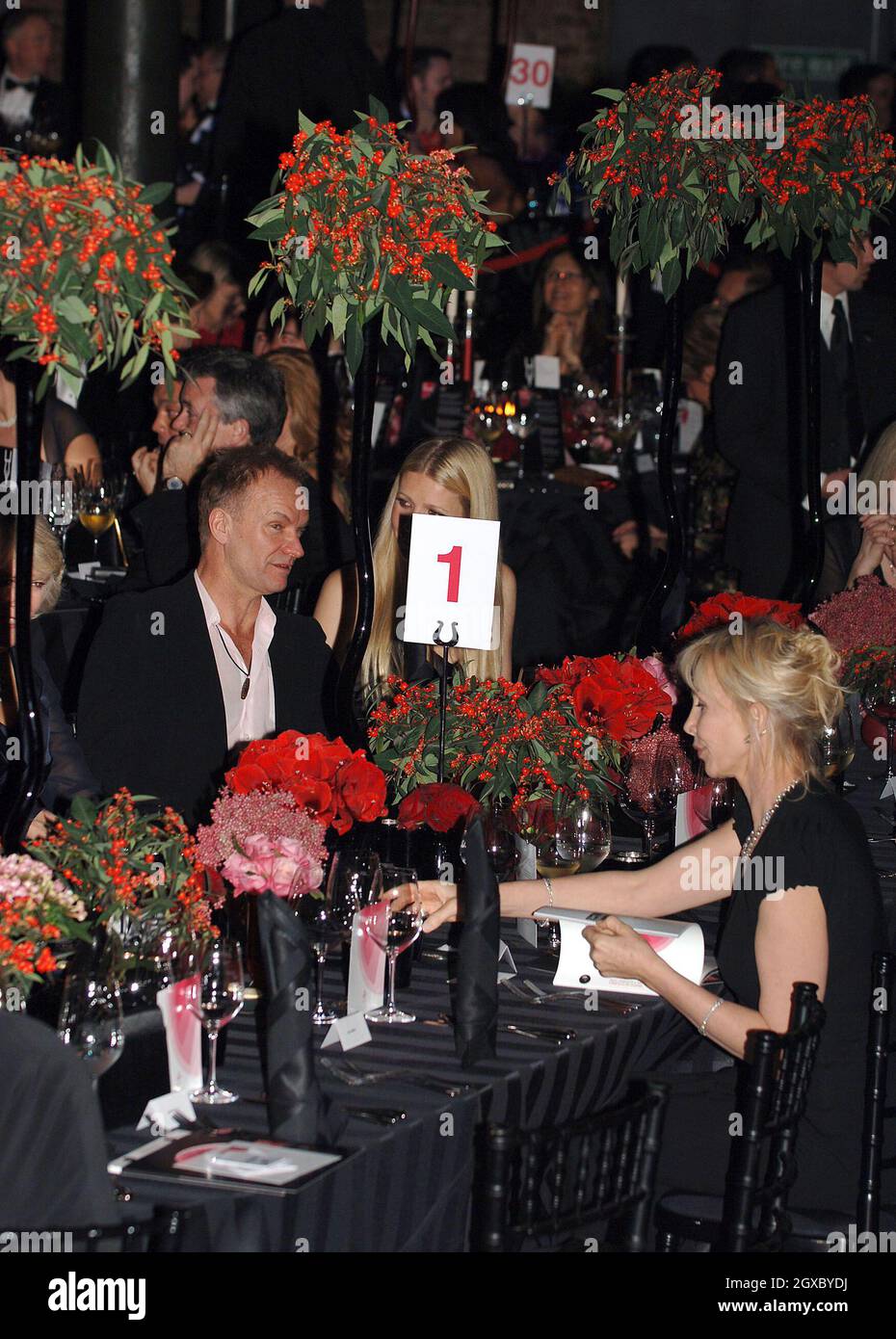 Prince's Trust ambassadors Sting, wife Trudie Styler and Gwyteth ...