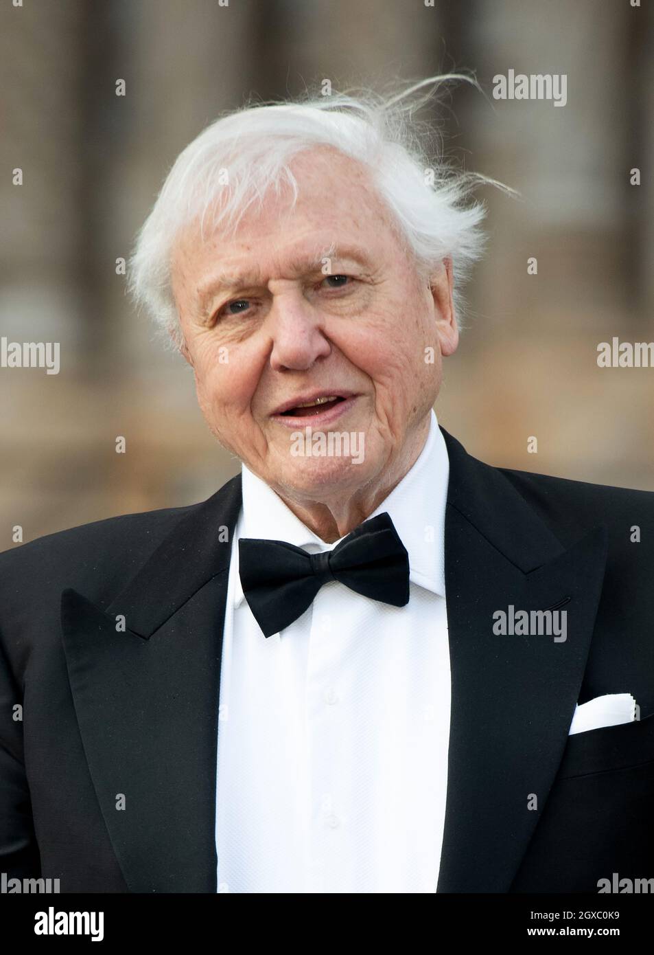 Sir David Attenborough attends the Netflix tv show premiere of 'Our ...