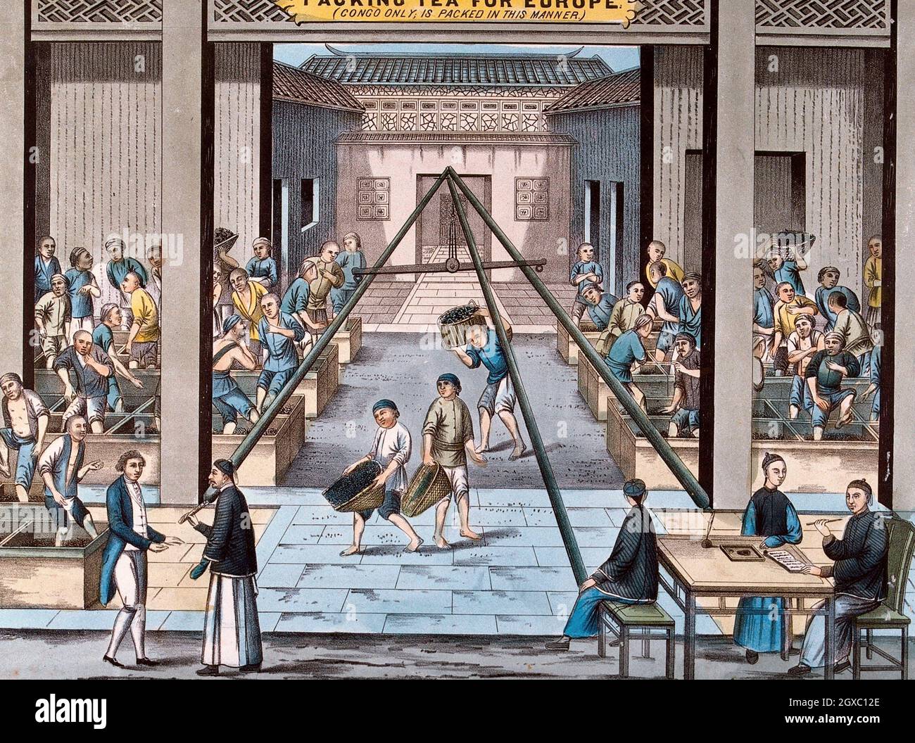 Congou tea hi-res stock photography and images - Alamy