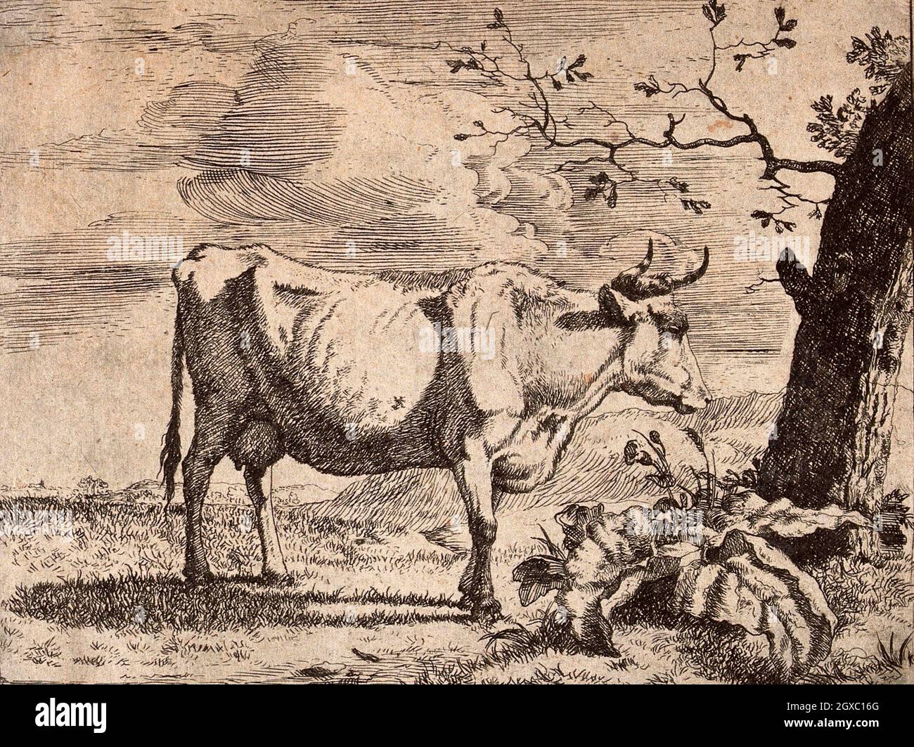 Etching identify hi-res stock photography and images - Alamy