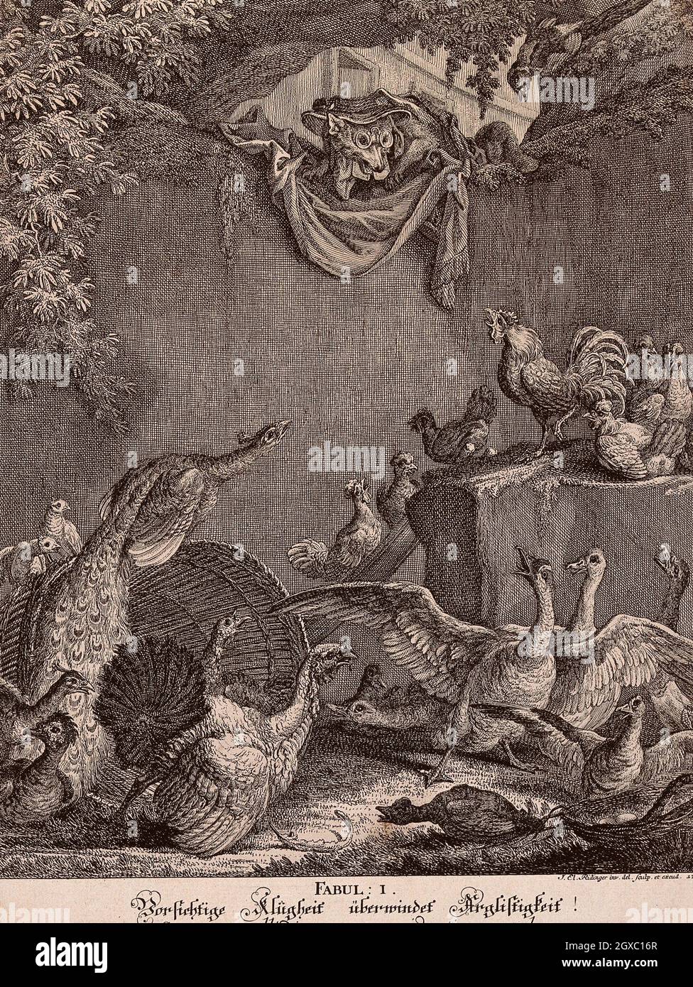 Etching illustration fox hi-res stock photography and images - Alamy