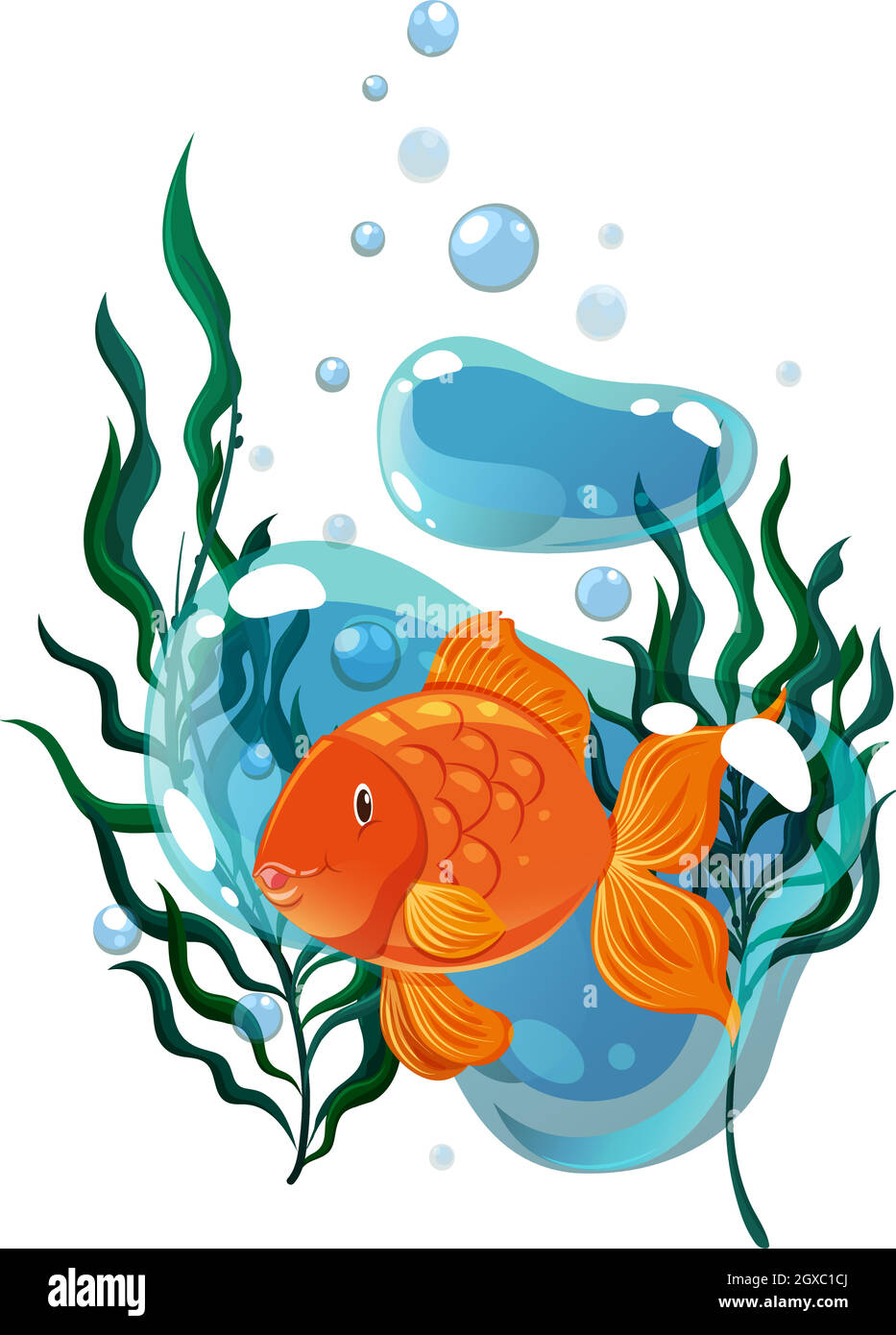 Underwater under water Cut Out Stock Images & Pictures - Alamy