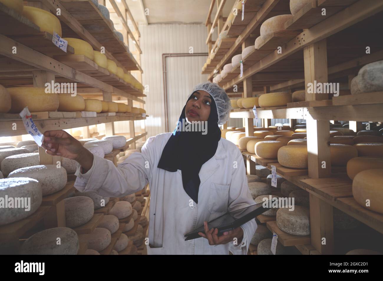 middle eastern black african muslim female business woman team in local ...