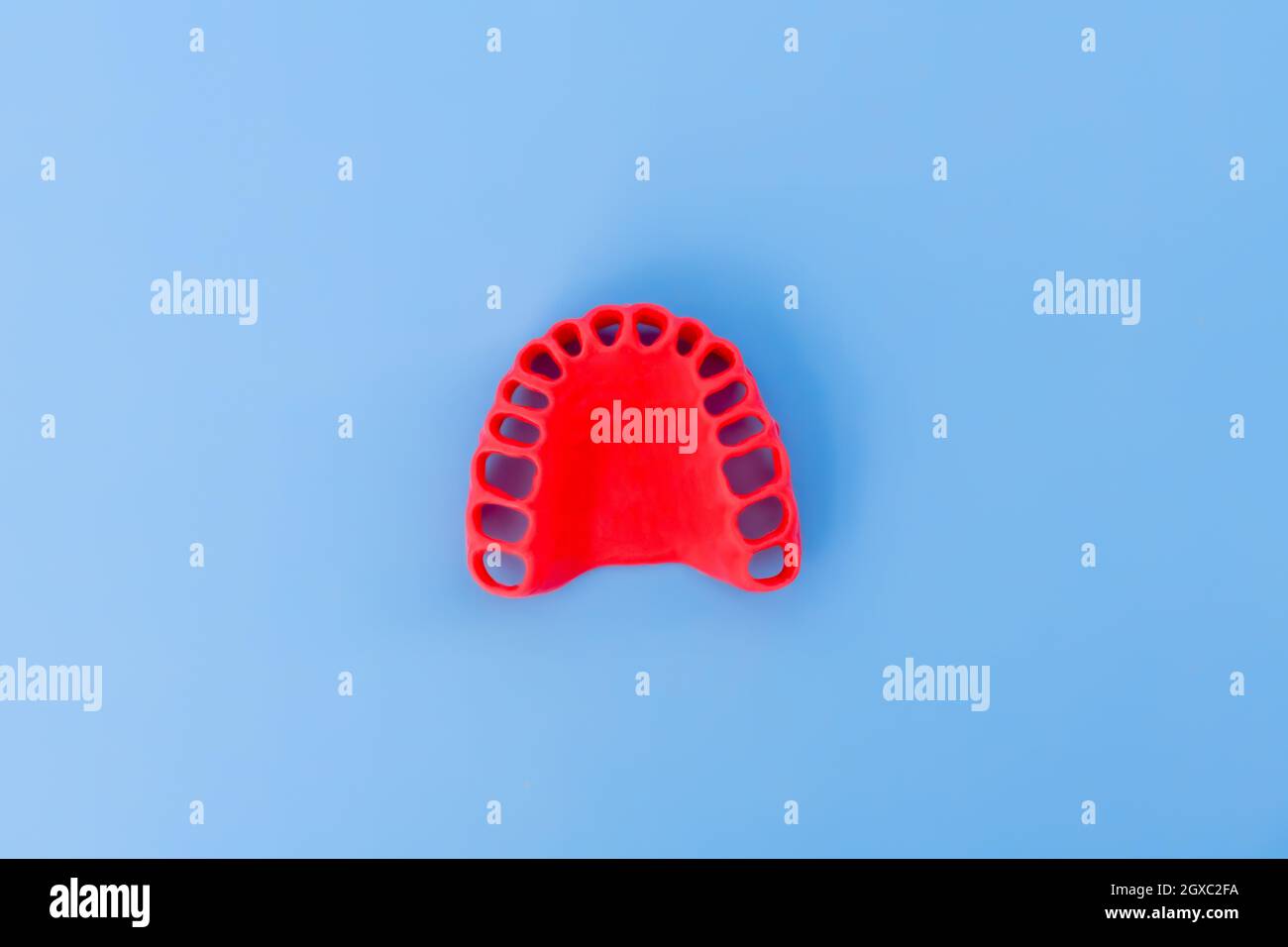 human gums without teeth model medical illustration isolated on blue ...