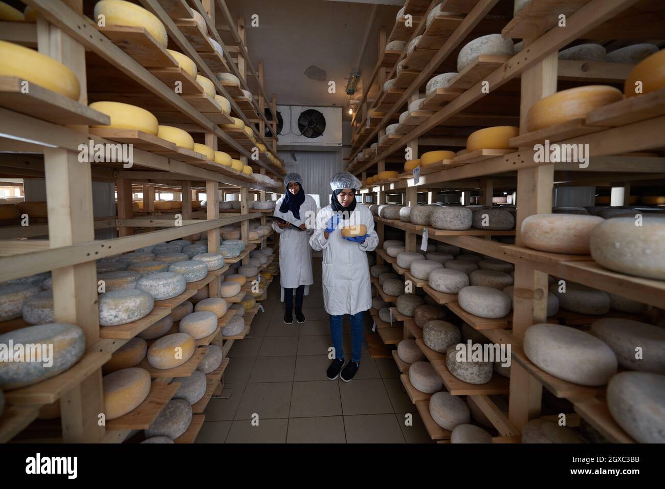 middle eastern black african muslim female business woman team in local ...