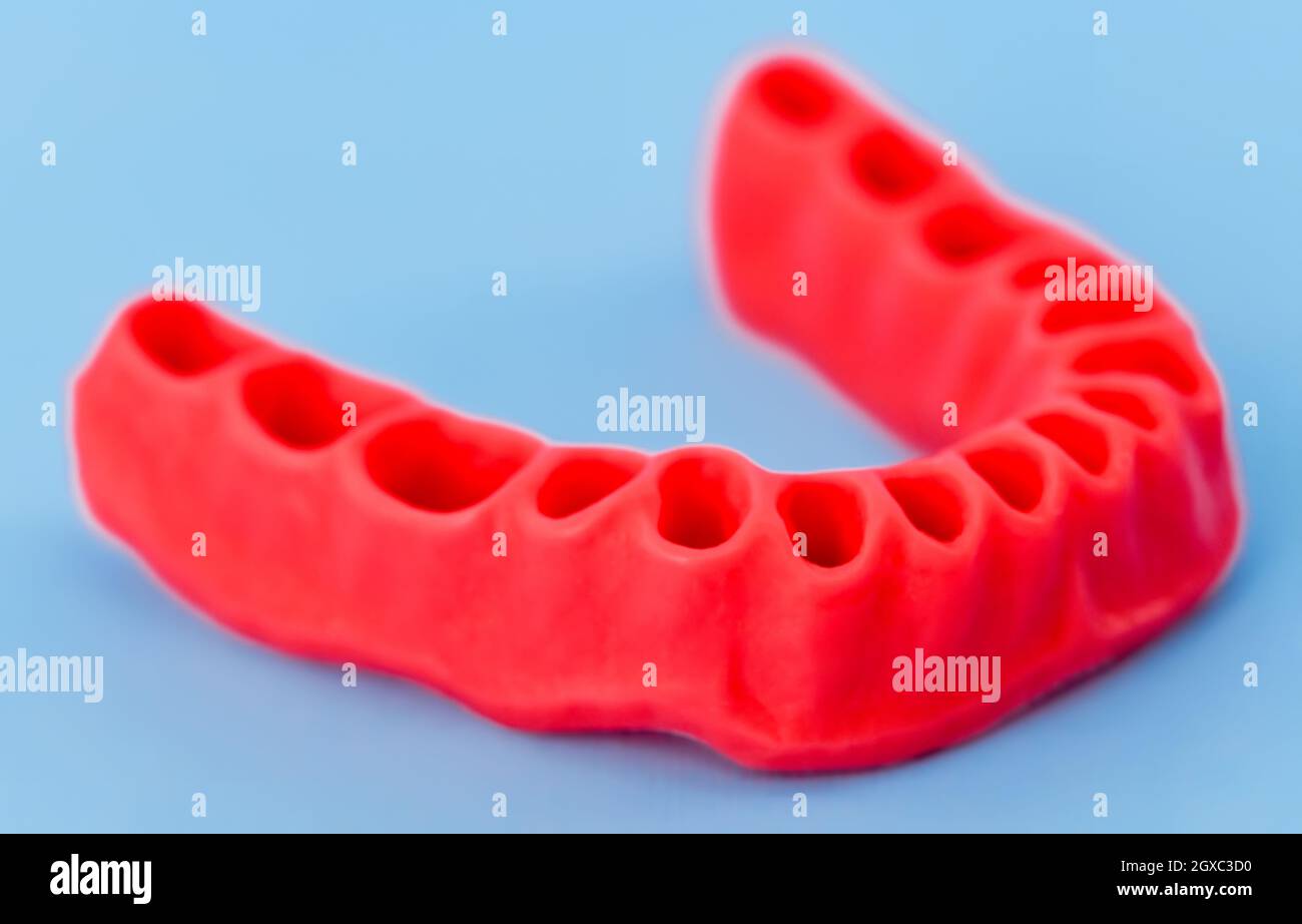 human gums without teeth model medical illustration isolated on blue ...