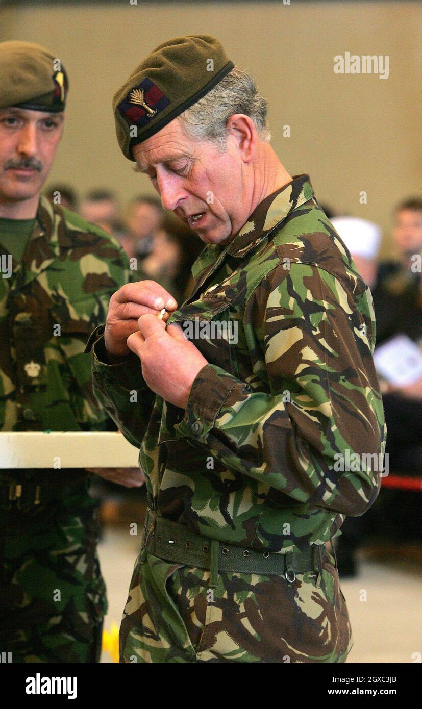 Wearing the uniform of colonel in chief of the welsh guards hi-res ...