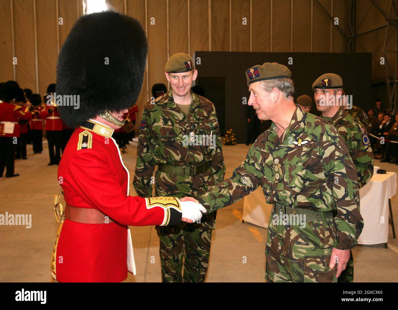 Prince Charles, Prince of Wales, wearing his uniform as Colonel-in ...